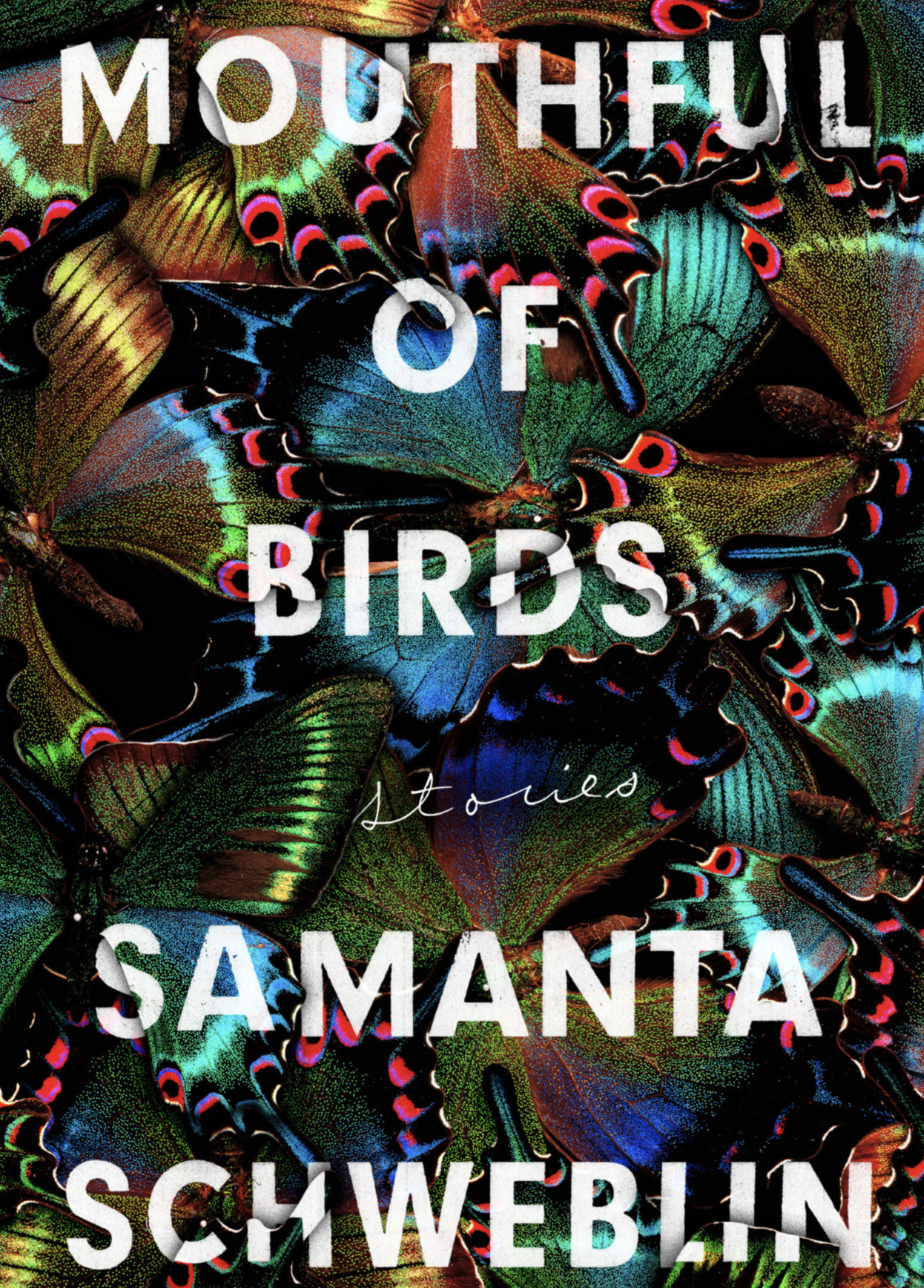 Unsettling Objects: On Samanta Schweblin’s “Mouthful of Birds ...